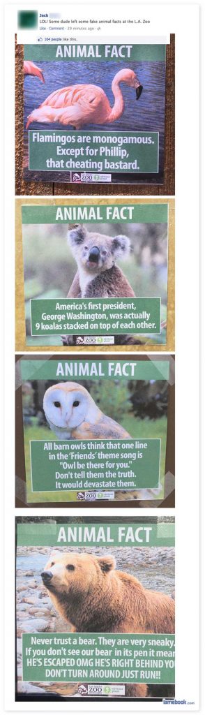 Lamebook – Funny Facebook Statuses, Fails, LOLs and More – The Original